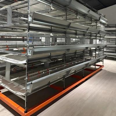 China Cheap Price Automatic Chicken House Broiler Poultry Farming Farm Machine Equipment for sale