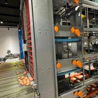China Cheap Price Automatic Chicken House Broiler Poultry Farming Farm Machine Equipment for sale