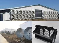 China Cheap Price Automatic Chicken House Broiler Poultry Farming Farm Machine Equipment for sale