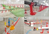 China Cheap Price Automatic Chicken House Broiler Poultry Farming Farm Machine Equipment for sale