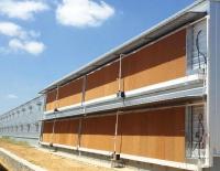China Cheap Price Automatic Chicken House Broiler Poultry Farming Farm Machine Equipment for sale