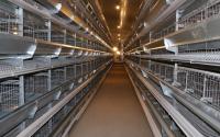 China High-zinc coated small stacked layer cage with corrosion resistance & long service life for sale
