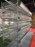 China Multi-Tier Small Stacking Layer Cages Optimized Layout Energy Saving for sale