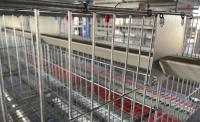 China Multi-Tier Small Stacking Layer Cages Optimized Layout Energy Saving for sale