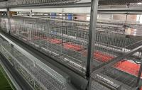 China Multi-Tier Small Stacking Layer Cages Optimized Layout Energy Saving for sale