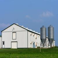 China Ultimate Guide To Building A Profitable Poultry House In 2026 for sale