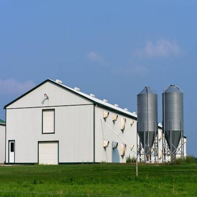 China Ultimate Guide To Building A Profitable Poultry House In 2026 for sale