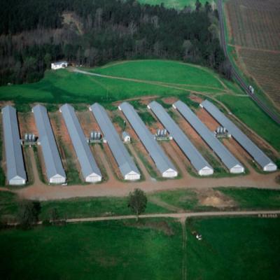 China Durable Cage Systems Poultry Farming Equipment Designed to Optimize Space and Enhance Poultry Health in Commercial Farms for sale