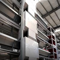 China Best Chicken House H Type Automatic Pullet Cage Poultry Farm Equipment for sale