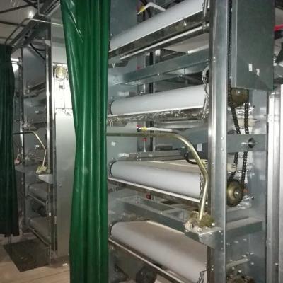 China Best Chicken House H Type Automatic Pullet Cage Poultry Farm Equipment for sale