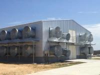 China Durable Poultry Breeding Equipment Galvanized Chicken House Solutions for sale