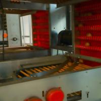 China Durable Poultry Breeding Equipment Galvanized Chicken House Solutions for sale