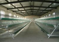China Fast Installation Hot-DIP Galvanized Prefabricated Steel Poultry House with Customize Design for sale