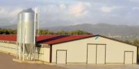 China Fast Installation Hot-DIP Galvanized Prefabricated Steel Poultry House with Customize Design for sale