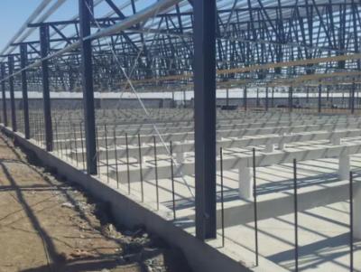 China Fast Installation Hot-Dip Galvanized Steel Structure Pig House with Customizable Dimensions for sale