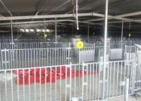China Fast Installation Hot-Dip Galvanized Steel Structure Pig House with Customizable Dimensions for sale