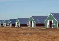 China Eco-Friendly Anti-Corrosion Steel Structure Poultry House with 2000-Chicken Capacity for sale