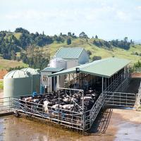 China Durable Galvanized Steel Cattle Shed with Customizable Design and Easy Assembly for Farm Breeding for sale