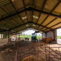 China Durable Galvanized Steel Cattle Shed with Customizable Design and Easy Assembly for Farm Breeding for sale