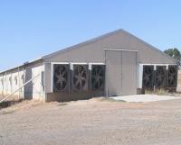 China Poultry Chicken Farm Steel Structure Light Steel Structure Poultry House for sale