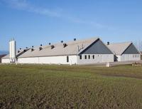 China Poultry Chicken Farm Steel Structure Light Steel Structure Poultry House for sale