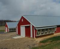 China Poultry Chicken Farm Steel Structure Light Steel Structure Poultry House for sale