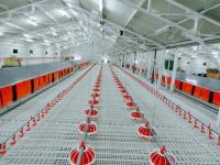 China Husbandry Farming Poultry Farm Equipment Chicken Coop Chicken House for sale