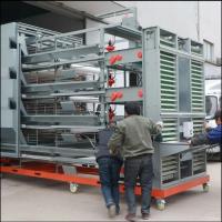 China Automatic Poultry House Equipment for Broiler Chicken with High Quality for sale