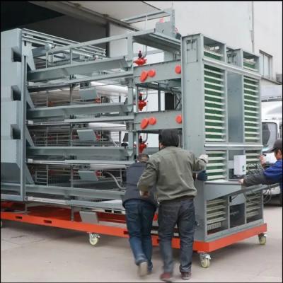 China Automatic Poultry House Equipment for Broiler Chicken with High Quality for sale