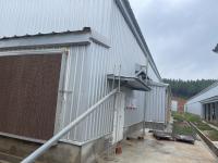 China Automatic feeding & drinking  Poultry House Automatic manure cleaning Long  life for sale