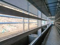 China Automatic manure cleaning  Full Automatic Poultry House Equipment Easy installation & maintenance for sale