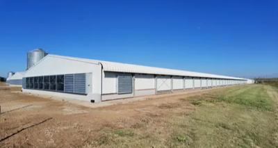 China Agricultural Farm Design Professional Detachable Steel Structure Cattle/Cow/Pig/Sheep Barn Shed Building for sale