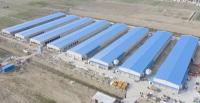 China Agricultural Farm Design Professional Detachable Steel Structure Cattle/Cow/Pig/Sheep Barn Shed Building for sale