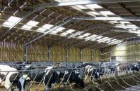 China Agricultural Farm Design Professional Detachable Steel Structure Cattle/Cow/Pig/Sheep Barn Shed Building for sale
