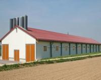 China Hot Selling Boiler Layer Egg Chicken Poultry Farm House for sale