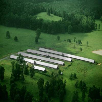 China Prefab Galvanized Steel Poultry House with Modular Structure and 15-20 Years Lifespan for Chicken Farm Building for sale