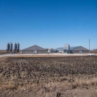 China Automatic Climate-Controlled Poultry House with Galvanized Steel Frame and Prefabricated Construction for sale