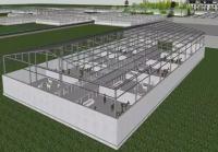 China Prefab Steel Structure Chicken House Poultry Farm for 10000 Chickens Supplies for sale