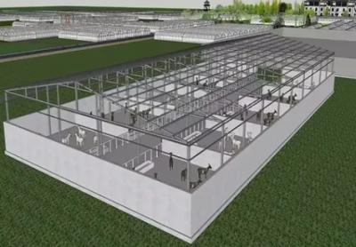 China Prefab Steel Structure Chicken House Poultry Farm for 10000 Chickens Supplies for sale