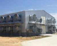 China Prefabricated Easy Install Corrosion Resistant Steel Poultry House with Customizable Sizes for sale