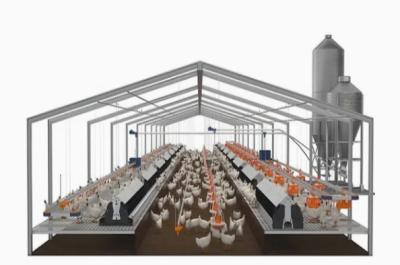 China Steel Structure Meat Chicken House Poultry Farm Building Chicken Shed Coop House for Sale for sale