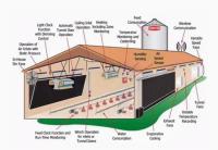 China Steel Structure Meat Chicken House Poultry Farm Building Chicken Shed Coop House for Sale for sale