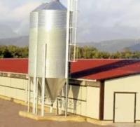 China Steel Structure Meat Chicken House Poultry Farm Building Chicken Shed Coop House for Sale for sale