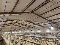 China Corrosion Resistance Automated Poultry House Equipment Full-process Automation Easy Cleaning for sale