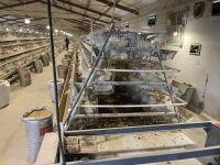 China Corrosion Resistance Automated Poultry House Equipment Full-process Automation Easy Cleaning for sale