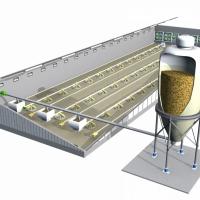 China Floor Farming System Broiler Chicken House Poultry Feeders and Drinkers Farm Equipment for sale