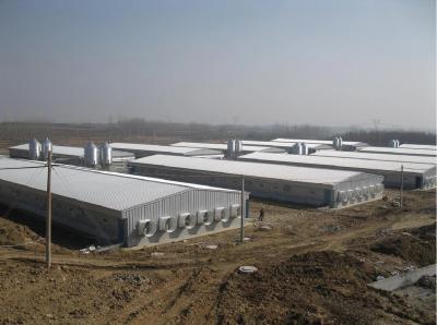 China Poultry Farm Equipment for Sale Commercial Layer Hen House System Chicken Coop for sale
