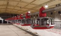 China Poultry Farm Equipment for Sale Commercial Layer Hen House System Chicken Coop for sale