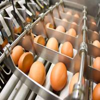 China Customizable Poultry Farm Equipment with Modular Structure and Automatic Feeding System for Efficient Poultry Management for sale