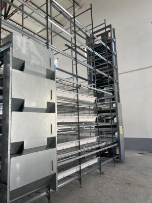China Automatic Galvanized Steel Poultry Equipment | Efficient Feeding & Intelligent Climate Control for sale